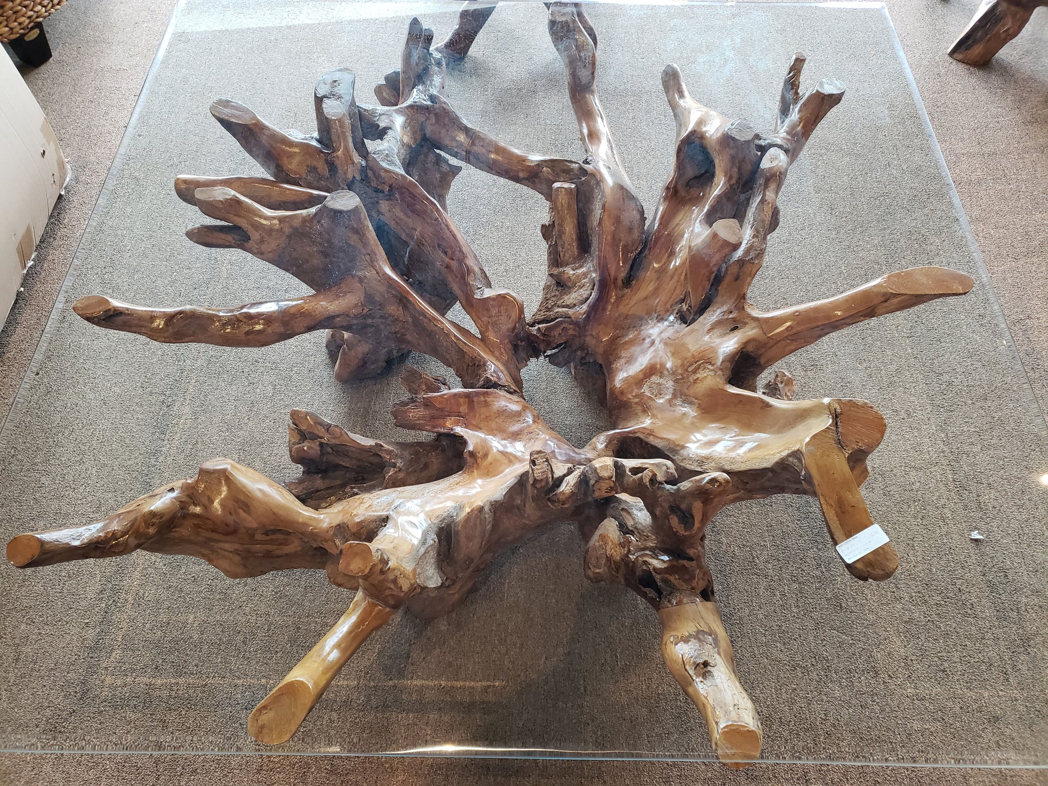 Teak Wood Root Coffee Table Including 55 inch Square Glass Top by Chic ...