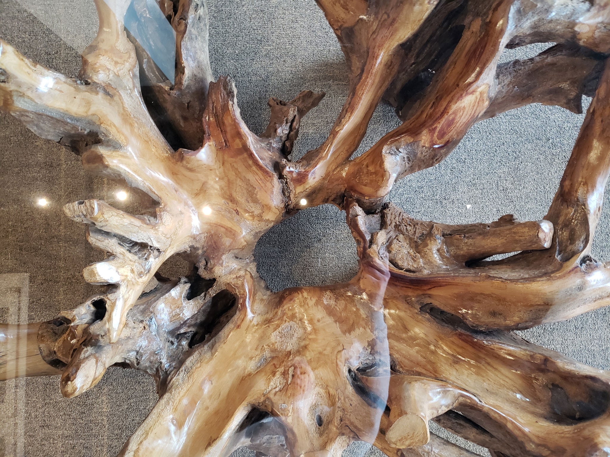 Teak Wood Root Coffee Table Including 55 inch Square Glass Top by Chic ...