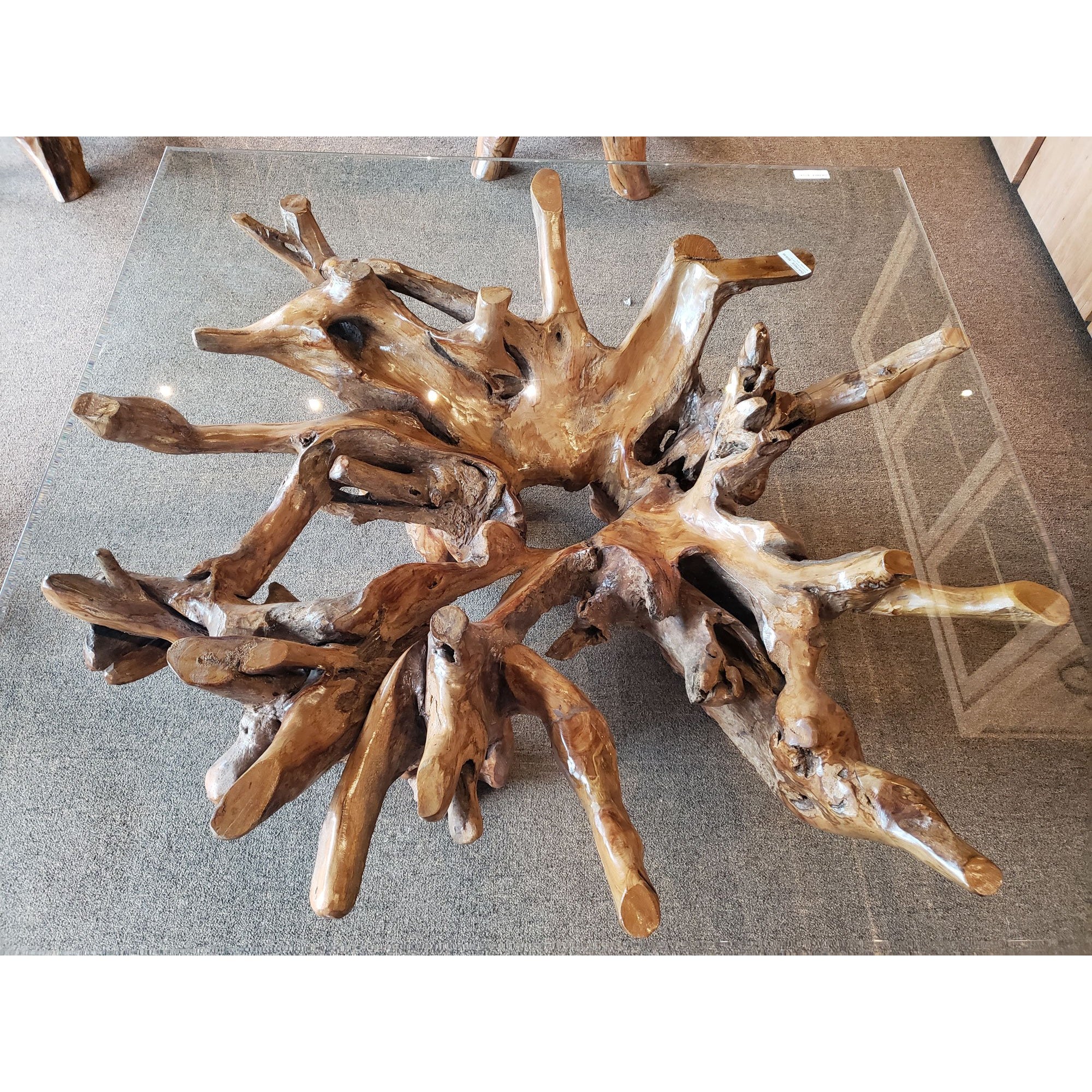 Teak Wood Root Coffee Table Including 55 inch Square Glass Top by Chic ...